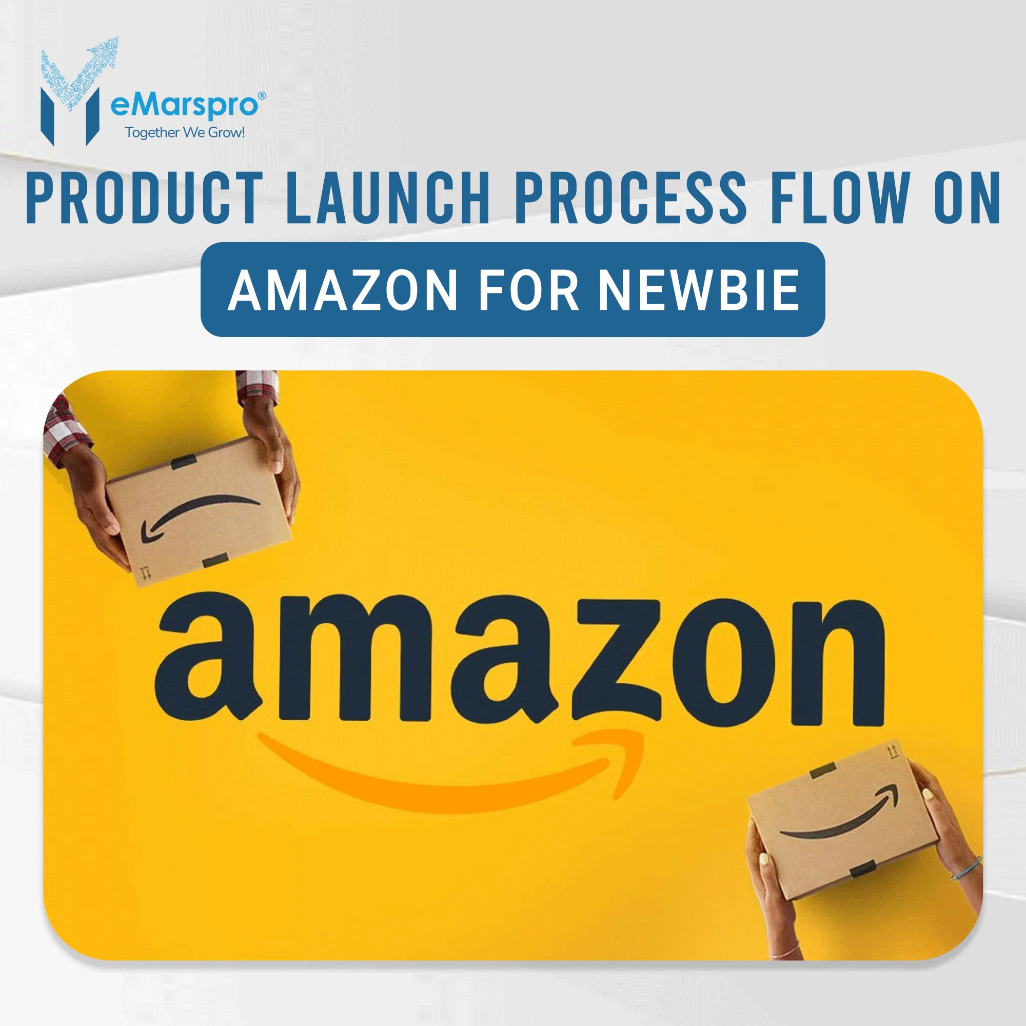 Product Launch Process Flow on Amazon for Newbie - eMarspro